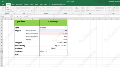 Jenis Tipe Data Pada Microsoft Excel dan Cara Inputnya
