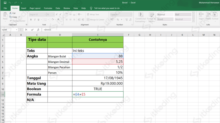 Jenis Tipe Data Pada Microsoft Excel dan Cara Inputnya