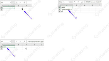 Fungsi MID pada Excel (Cara dan Contoh Rumus MID Excel)