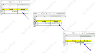 Fungsi TEXT pada Excel (Cara Menggunakan & Contoh Rumus TEXT)