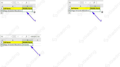 Fungsi MID pada Excel (Cara dan Contoh Rumus MID Excel)