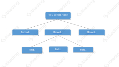 Database adalah? Ini Pengertian, Fungsi, Struktur dan Jenisnya
