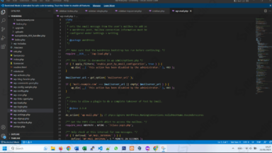 Programmer adalah? Pengertian, Tugas & Skill Wajibnya