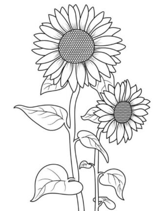 20 Gambar Sketsa Bunga Yang Mudah, Simple dan Cantik