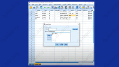 Cara Menggunakan Spss Untuk Pemula Di Laptop Dan PC