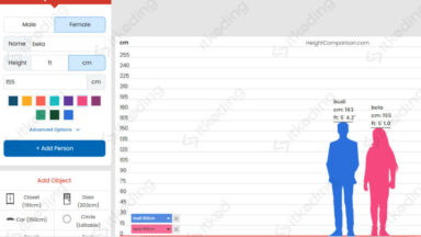 Website Perbandingan Tinggi Badan Online Dan Ilustrasi