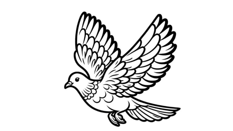 20 Sketsa Gambar Burung Yang Mudah Simpel Tapi Bagus