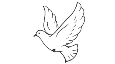 20 Sketsa Gambar Burung Yang Mudah Simpel Tapi Bagus