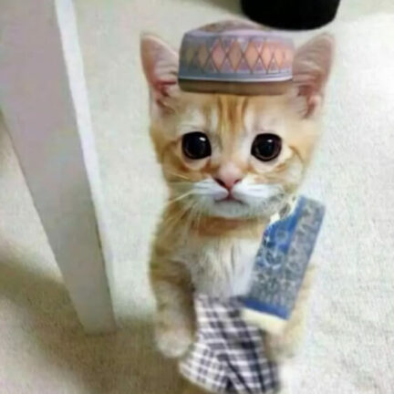 10 PP Kucing Ramadhan 2024 Pakai Peci, Berhijab, Lucu