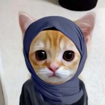 10 PP Kucing Ramadhan 2024 Pakai Peci, Berhijab, Lucu