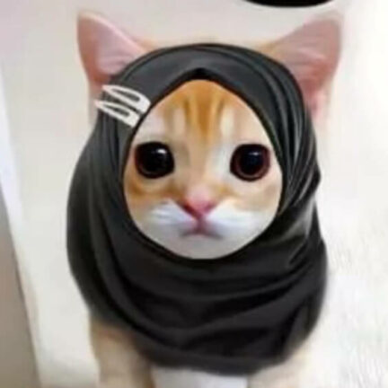 10 PP Kucing Ramadhan 2024 Pakai Peci, Berhijab, Lucu
